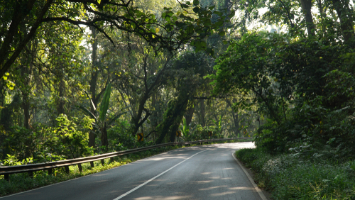 Menguak Misteri Keangkeran Alas Roban – Nuansa Supranatural